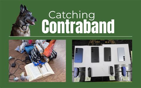 K 9 Searches Find Contraband At Gabilan Wasco Inside Cdcr