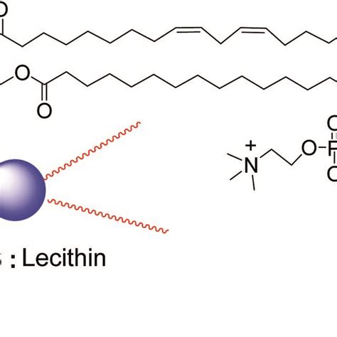 Chemical Structures Of Lecithin A6 And C4 Lecithin A7 Download