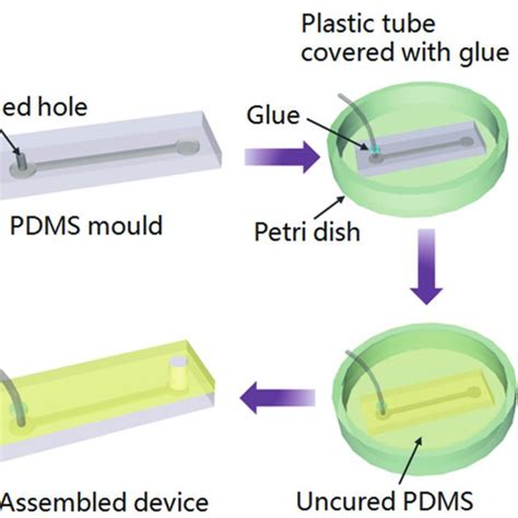 schematics of fabricating a tubing interconnection for pdms