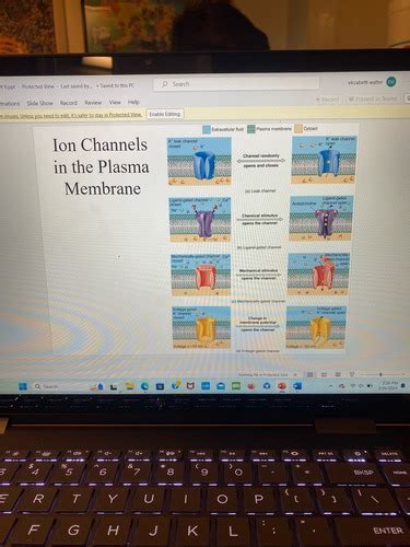 Chapter 12 Part 2 Flashcards Quizlet