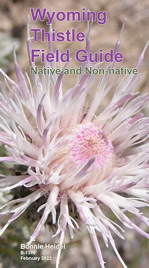 Wyoming Natural Diversity Database UW Extension Release New Thistle Field Guide