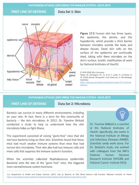 Data Set Information On Cellular Scince Pdf