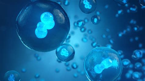 The Strategic Imperative Why Early Potency Assay Development Makes Or