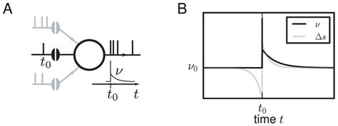 Firing Rate Response To A Synaptic Input A The Neuron Receives