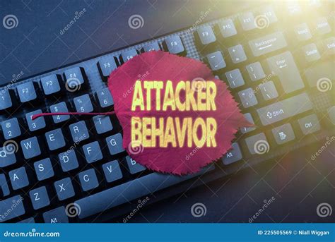 Conceptual Display Attacker Behavior Conceptual Photo Analyze And