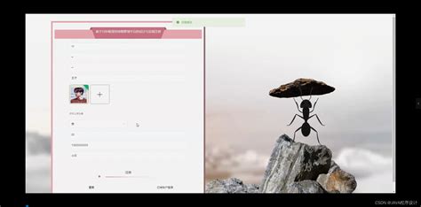 基于flask框架宠物管理平台的设计与实现 Pythonmysql论文基于 框架 宠物 Csdn博客