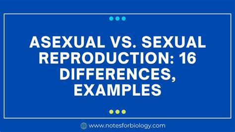 Artificial Selection Definition Steps Examples Uses