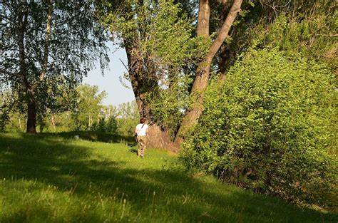 무성한 녹색 숲을 걷는 남자 사진 Unsplash의 무료 러시아 이미지