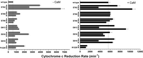 Steady State Cytochrome C Reductase Activities Of Nnos And Mutants In