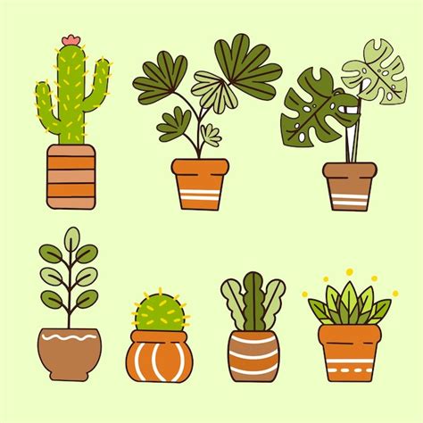 Premium Vector Collection Of Aesthetic Decorative Plants Doodle