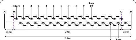 Methodology For The Manual Assessment Of Stride Rate And Steady State