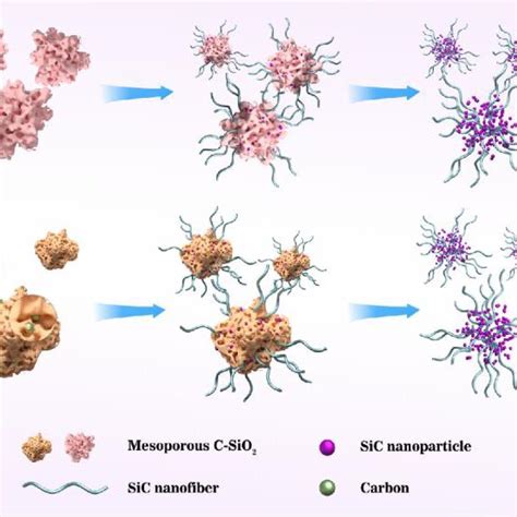 Schematic Diagram Of The Formation Of Sic Nanostructures A Sic Download Scientific Diagram