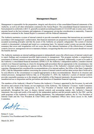 SAMPLE Management Reports In PDF MS Word Excel SAMPLE Management Reports In PDF MS Word Excel