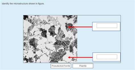 Answered Proeutectoid Ferrite Pearlite Bartleby