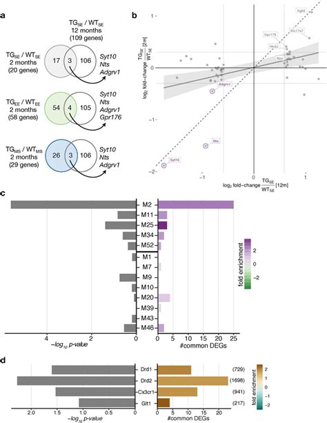 Later State Dysregulation Of Striatal Gene Expression Induced By Mhtt