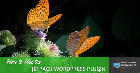 How To Use The Jetpack WordPress Plugin