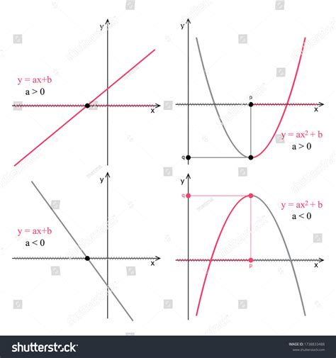 Linear Function