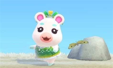 먼작귀 치이카와 인스타 귀여운 프사 짤 모음 Zip 랏코 쿠리만쥬 우사기 네이버 블로그