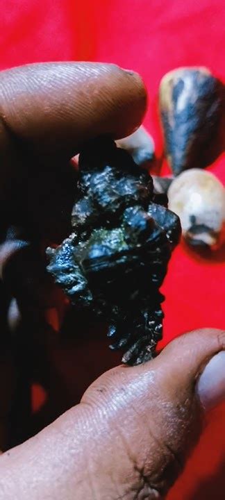 Mutya Shell Naging Bato Youtube