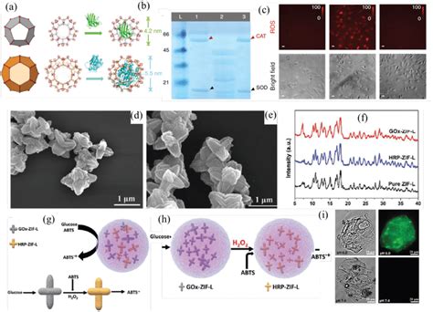 Biomimetic Cell Organelles And Artificial Cells A Schematic