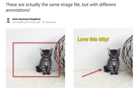Stepshot Image Editor Annotator For Confluence Devpost