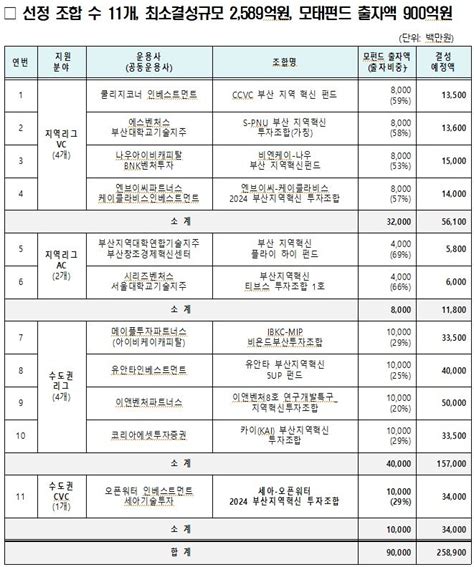 부산 미래성장 벤처펀드 11곳·2600억원 규모로 추진 부산파이낸셜뉴스