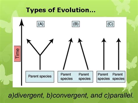 Patterns Of Evolution Types Of Evolution Speciation Illustrates