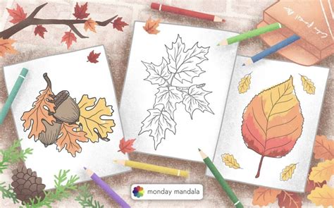 20 Fall Leaves Coloring Pages Free Pdf Printables
