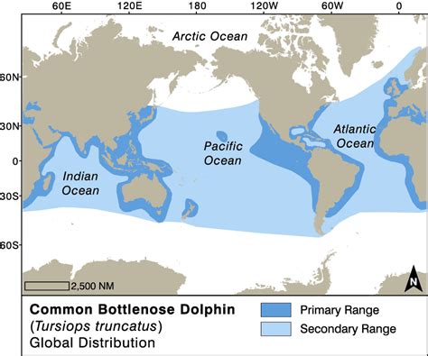 Bottlenose Dolphin Whale Watching Handbook
