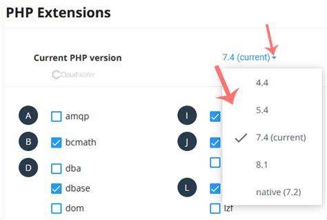 How To Change The PHP Version Via CloudLinux Selector In DirectAdmin
