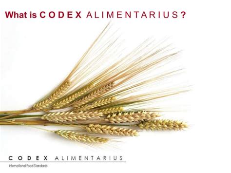 Codex Alimentarius Ppt Pptx