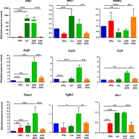 Genes Specifically Regulated By Active Cancer‐associated Fibroblasts Download Scientific