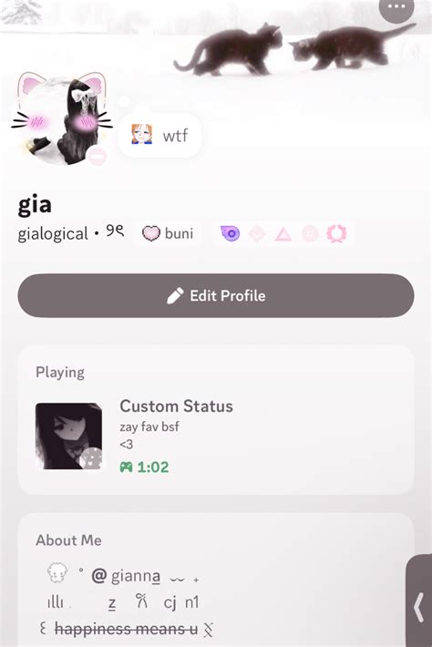 Discord E Kitten Pfp