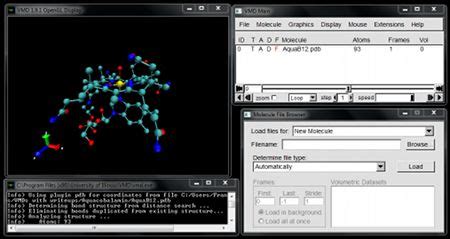 VMD Downloads - The Brasch Group