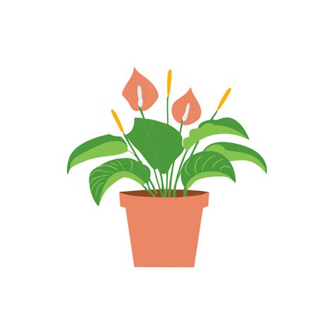 Free Peace Lily Plant Clipart Template To Edit Online