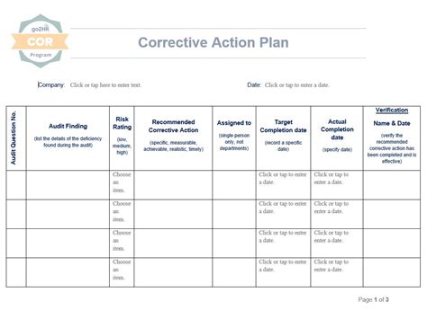 Corrective Action Plan Template Go2HR COR