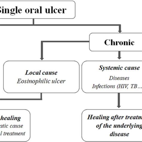 Management Algorithm Of Single Oral Ulcers Download Scientific Diagram