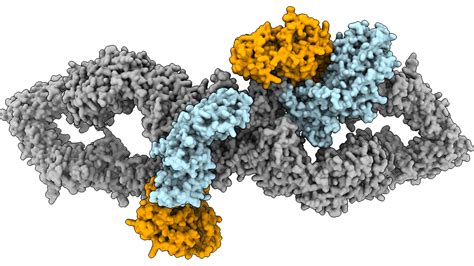 The Structure Of Neurofibromin Isoform Reveals Different 59 Off