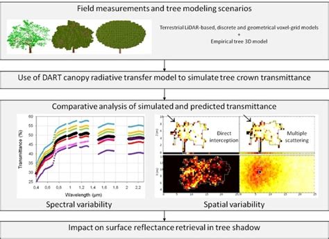 Remote Sensing Free Full Text Impact Of Tree Crown Transmittance On