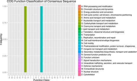 Cog Function Classification Of The Consensus Sequences From The Met Vs