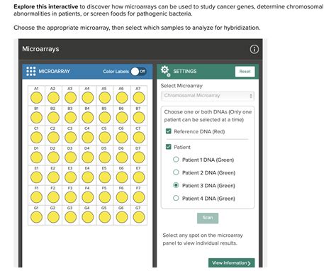 Solved Explore This Interactive To Discover How Microarrays