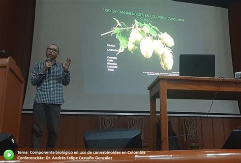 Cátedra Salud Y Sociedad Realizó Panel De Discusión Sobre El Uso De Cannabinoides En Colombia