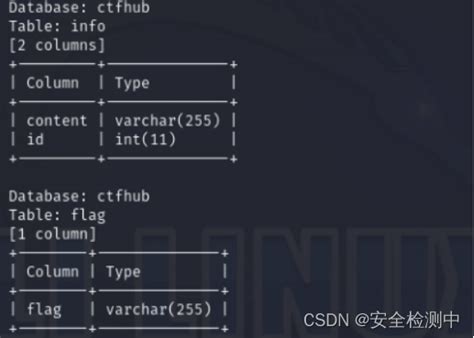 2017 赛客夏令营的web injection的sql注入 2017 赛客夏令营 web injection csdn博客