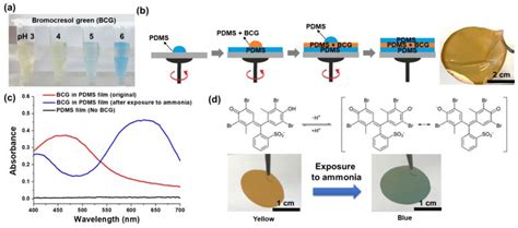 Article Mdpi Flexible Colorimetric Film Biosensors Sensors Openaccess Abstract