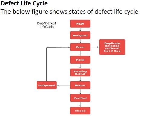Software Quality Testing Defect Management And Reporting