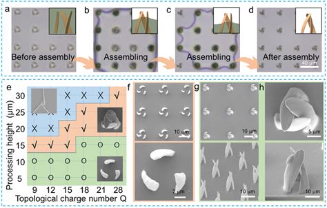 The Assembling Process And Results Of The 3d Chiral Microstructures Download Scientific