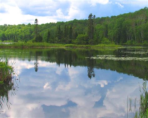 Minnesota Nature