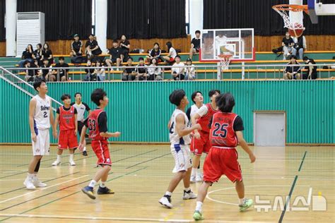 1학생 1스포츠 프로그램 시범교 모집…스포츠활동 의무화