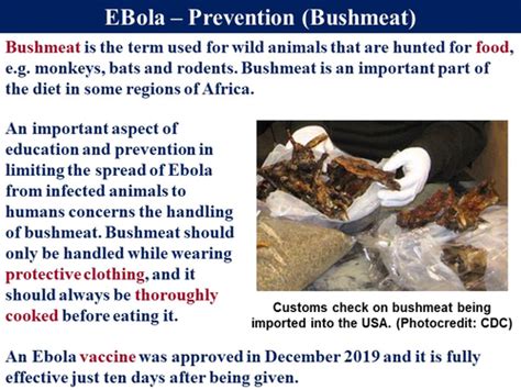 Bio54 56 Disease Communicable 3 Protist Fungus And Virus