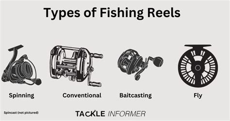 Types Of Fishing Reels How To Choose The Right One